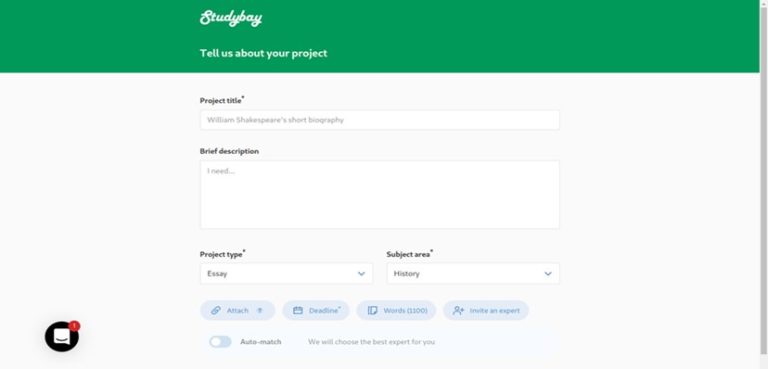 Studybay Review: Quality, Reliability, and Excellence Reviewed